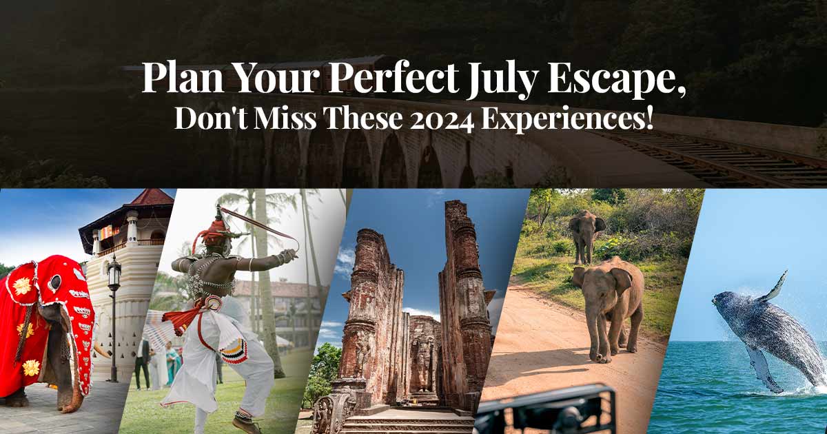 Plan Your Perfect July Escape, Don't Miss These 2024 Experience